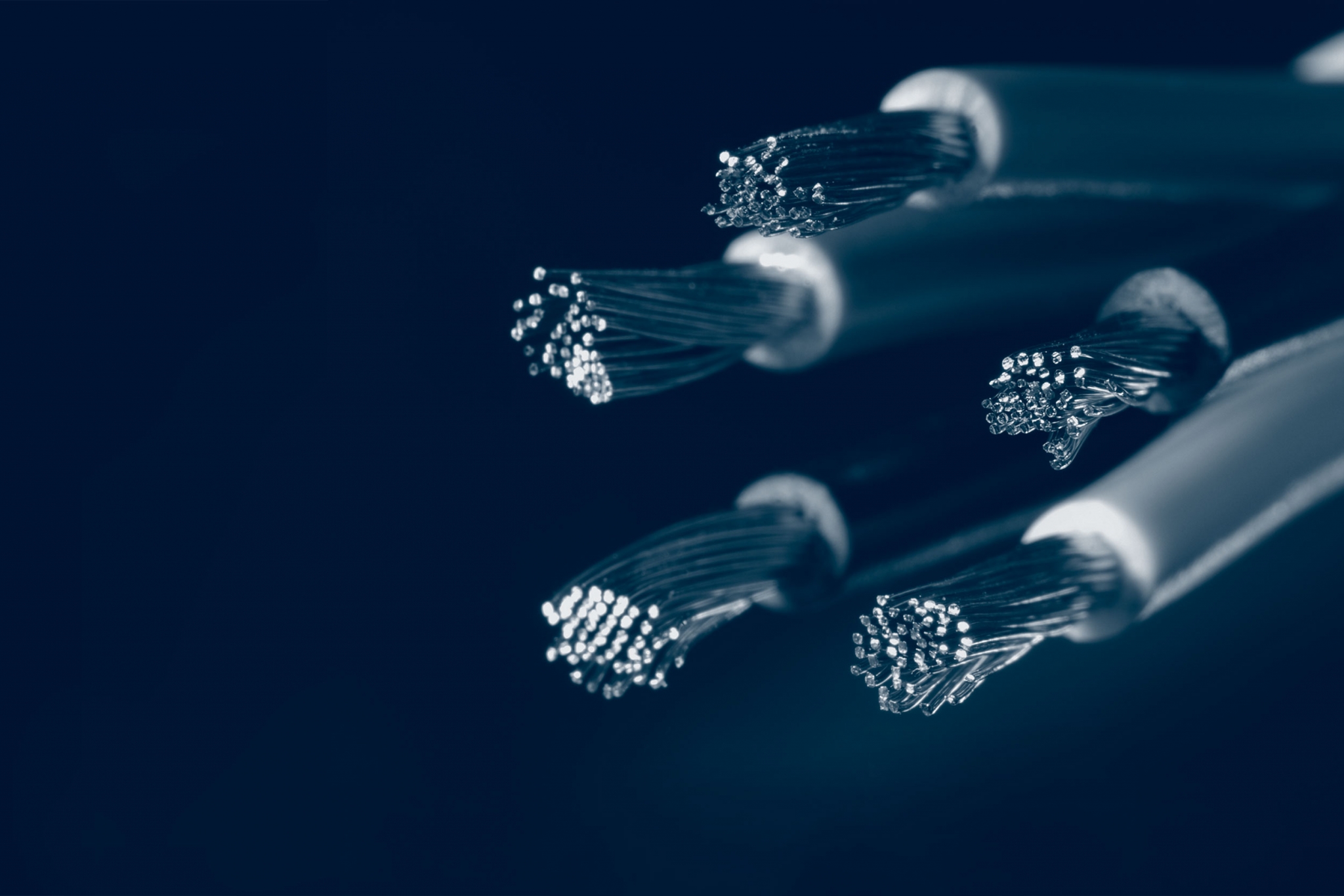 Nautilus Cables – Nautilus Cables Website